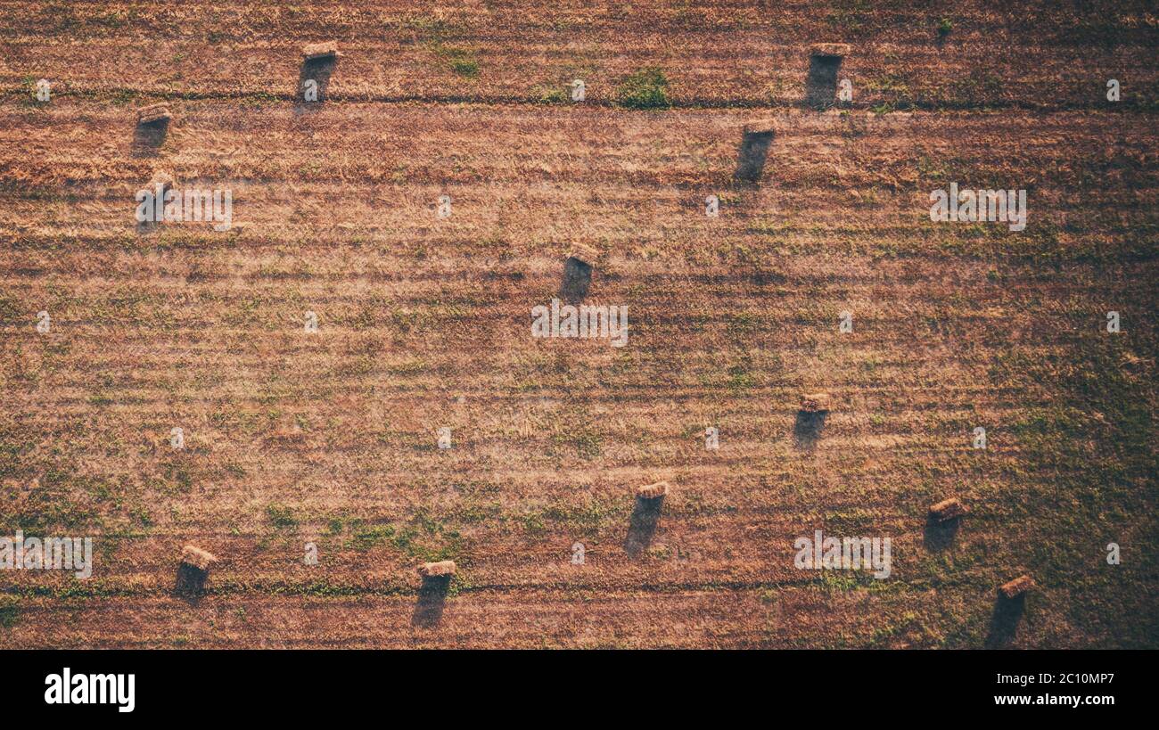 Top down drone of a harvested hay field with haystacks in it at random ...