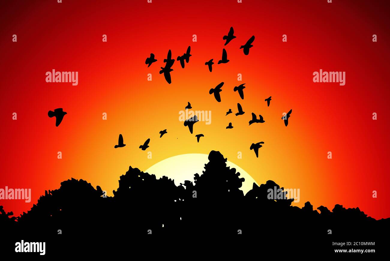 Vector image from black silhouettes of a flock doves Stock Photo - Alamy