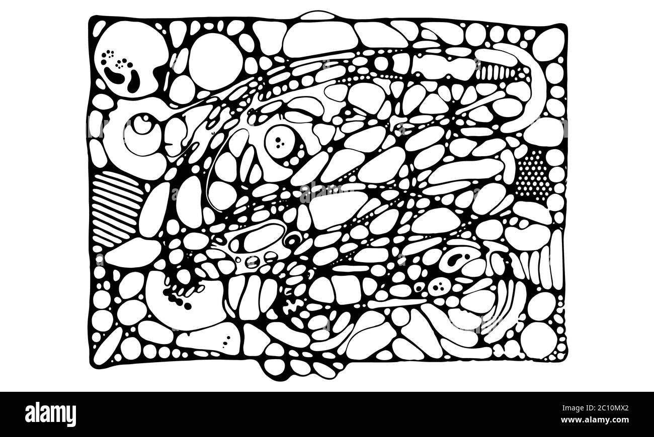 sumptuous owl coloring page in exquisite style Stock Photo - Alamy