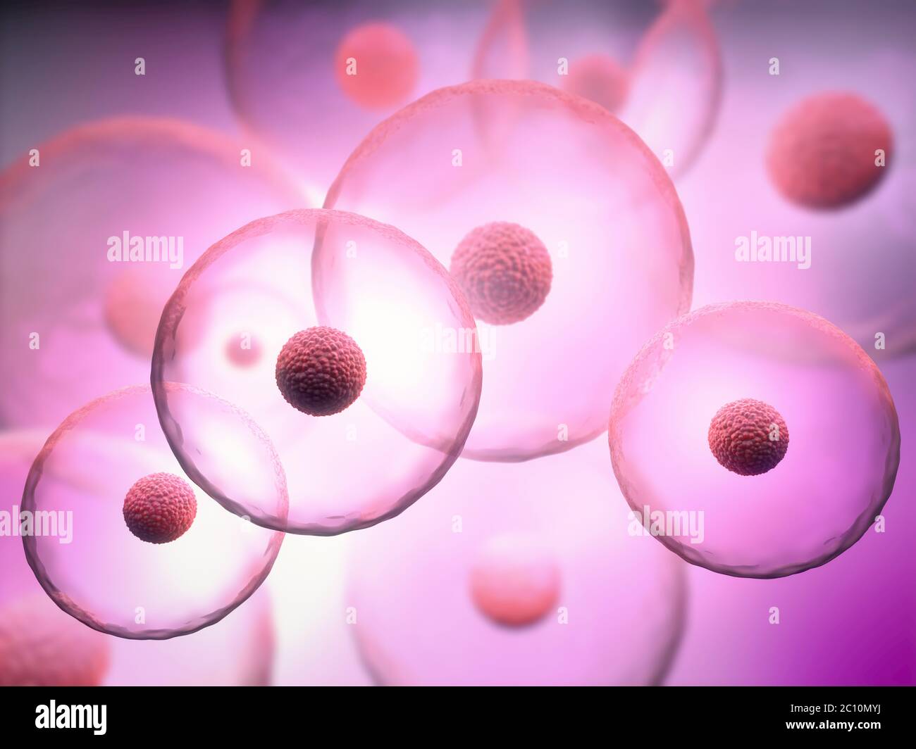 3d Illustration of transparent cells with nucleus on purple background ...
