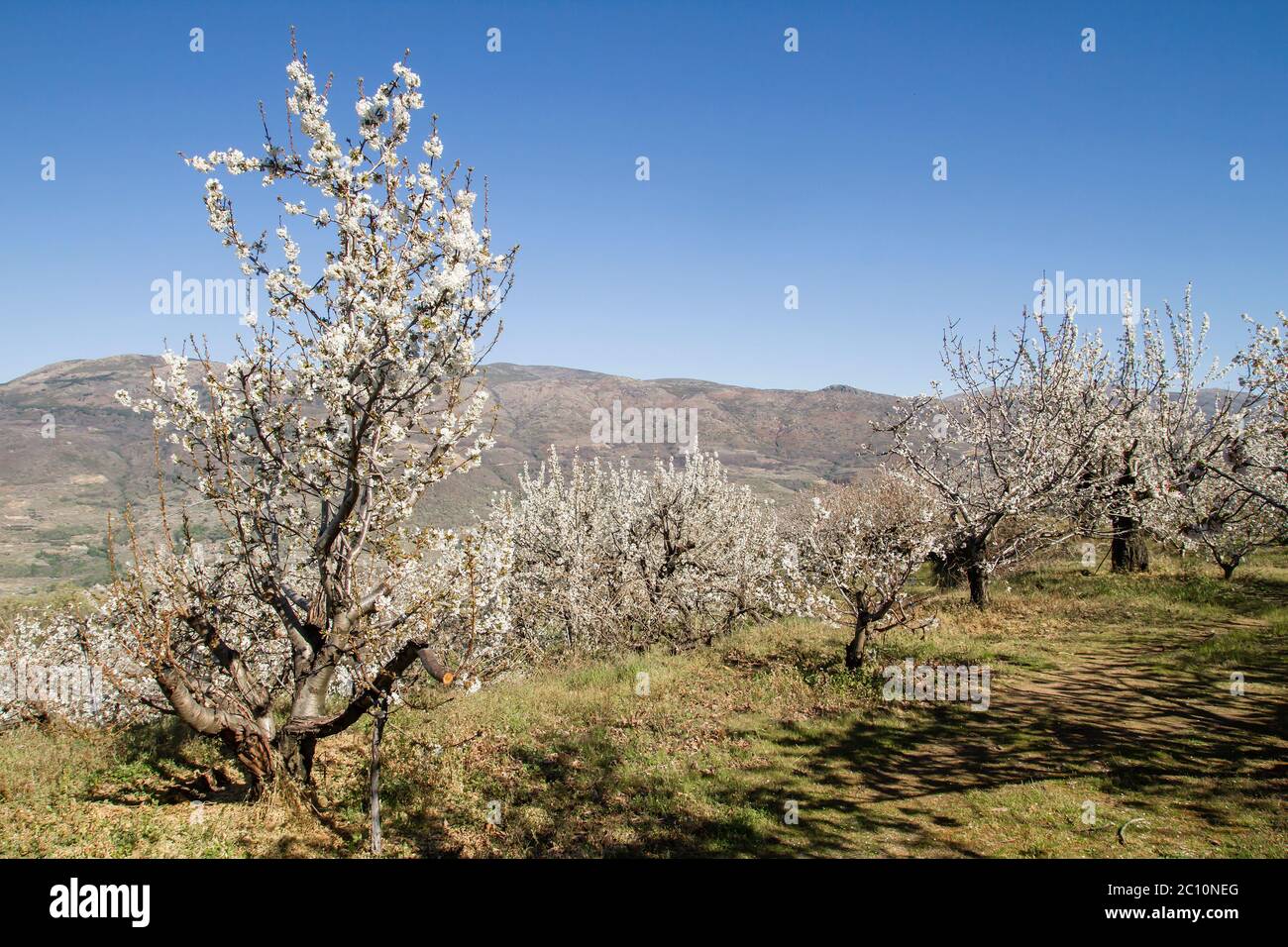 Valle del jerte hi-res stock photography and images - Alamy