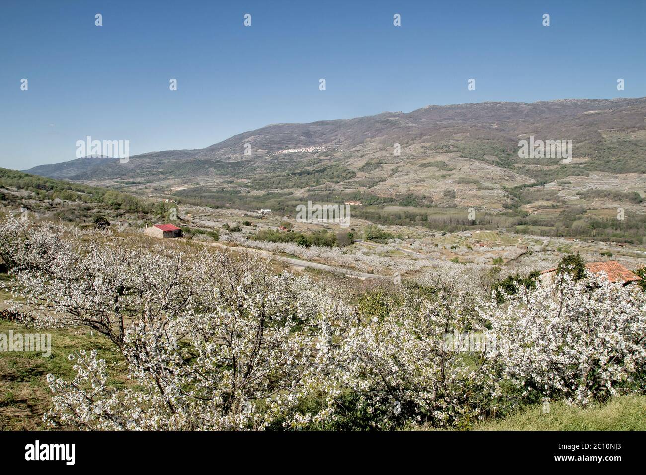 Jerte valley hi-res stock photography and images - Alamy