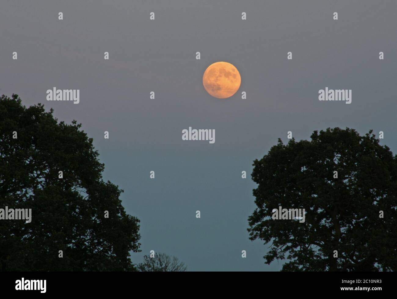 Full moon rising over lake farmland Stock Photo - Alamy Full moon rising over lake farmland Stock Photo - Alamy