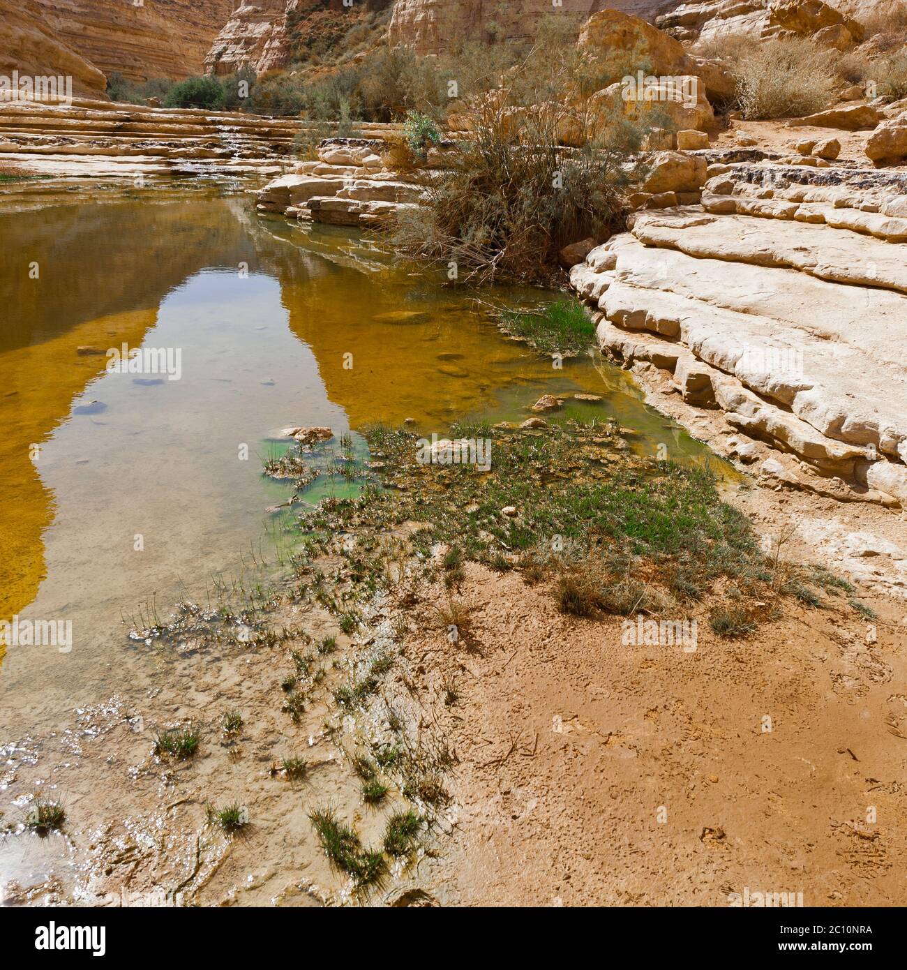 Canyon in Desert Stock Photo - Alamy