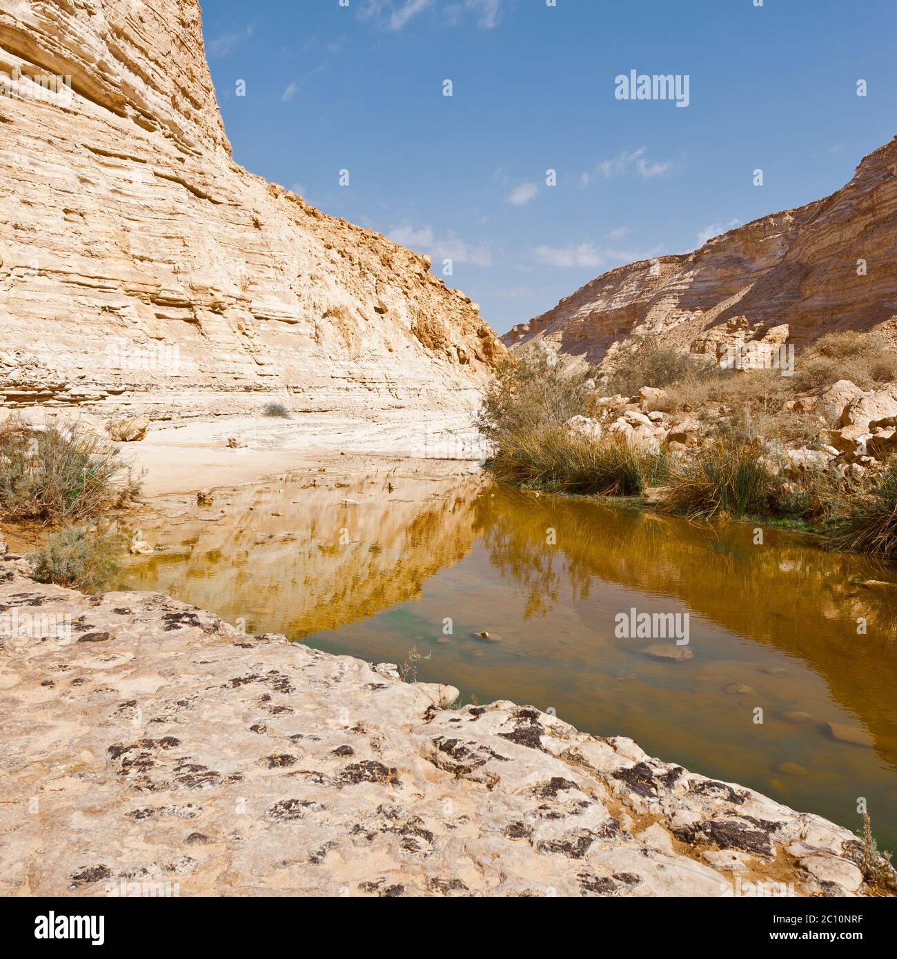 Canyon in Desert Stock Photo - Alamy