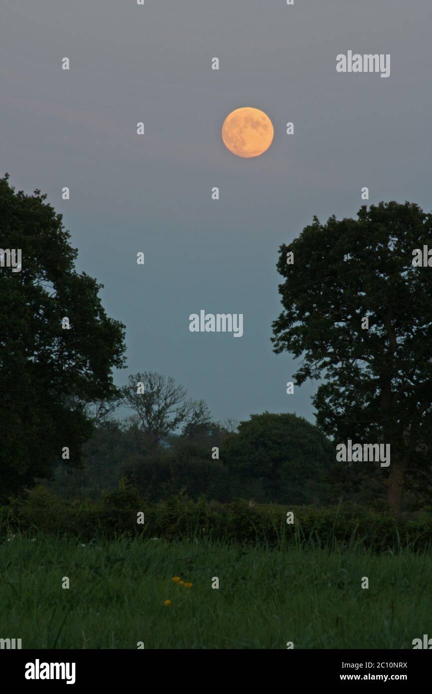 Full moon rising over lake farmland Stock Photo - Alamy