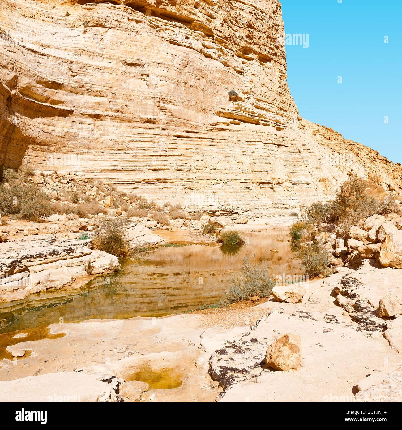Canyon in Desert Stock Photo - Alamy