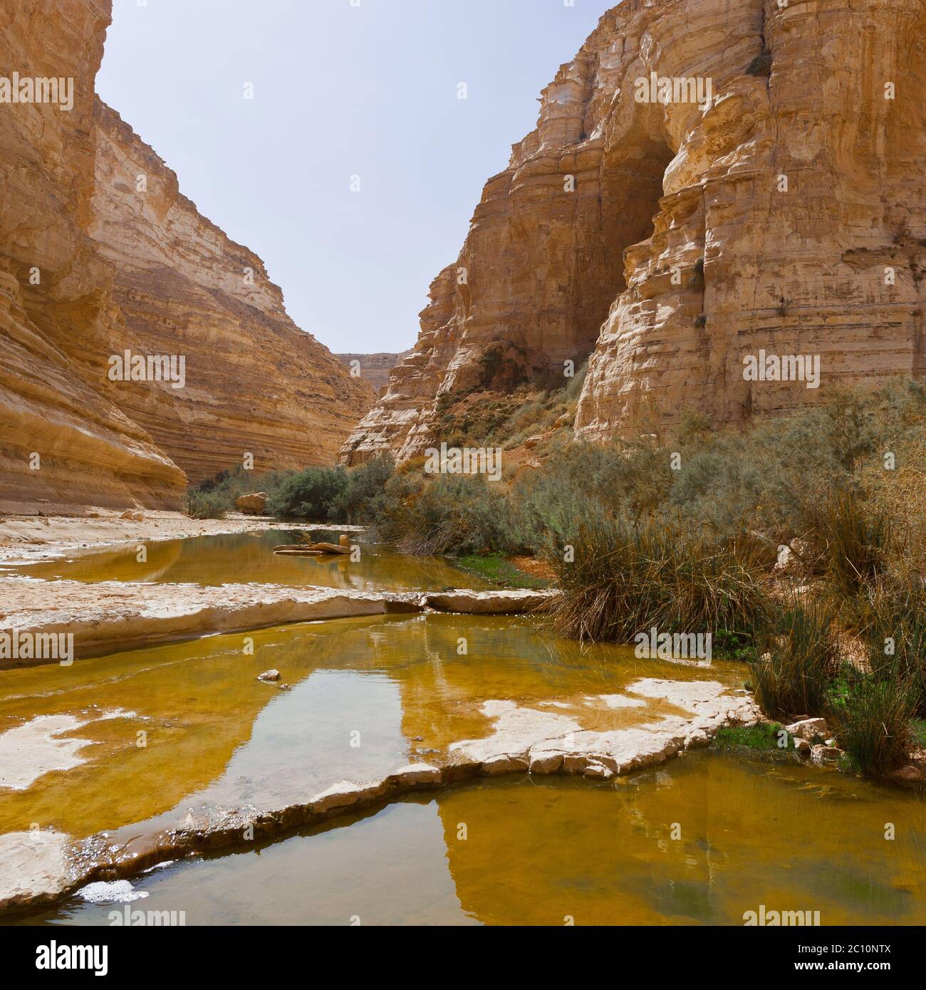 Canyon in Desert Stock Photo - Alamy