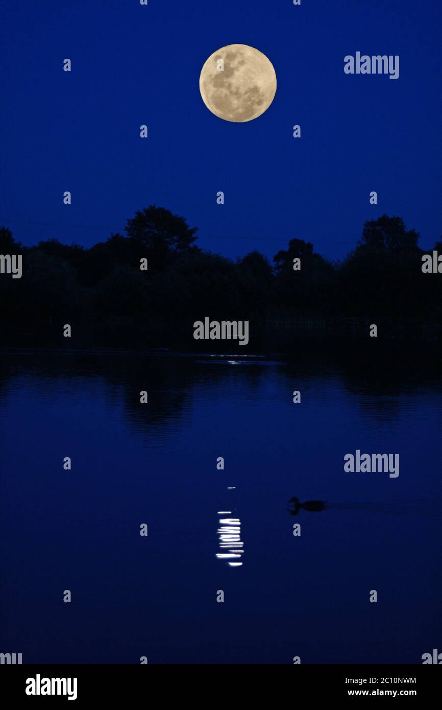 Full moon rising over lake Stock Photo - Alamy