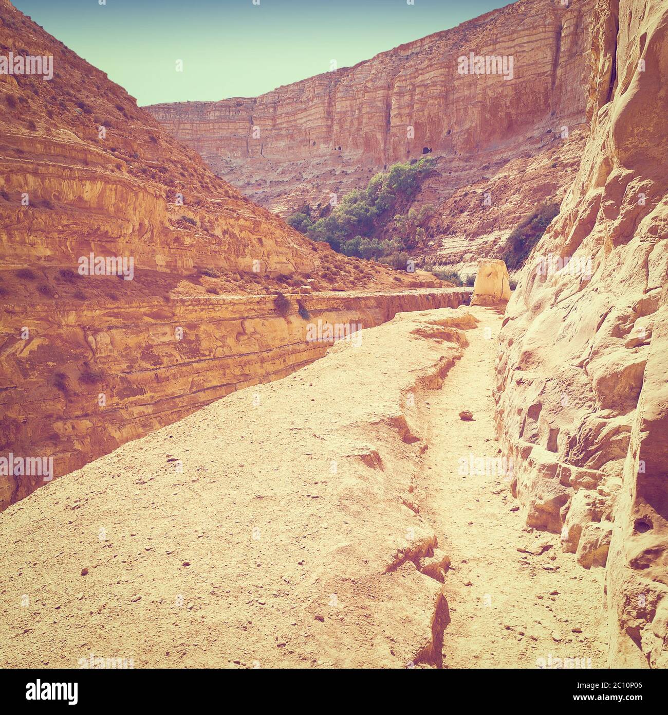 Canyon in Desert Stock Photo - Alamy