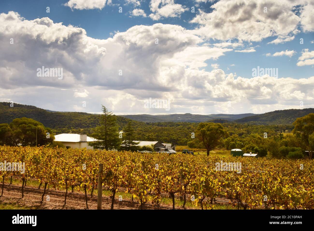 Australian wine hi-res stock photography and images - Alamy