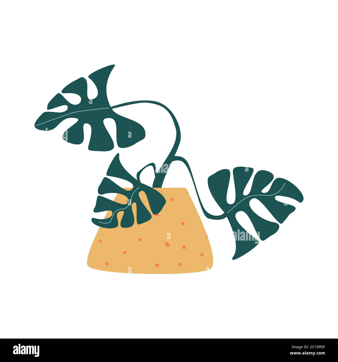 Monstera leaf flat cartoon Cut Out Stock Images & Pictures - Alamy