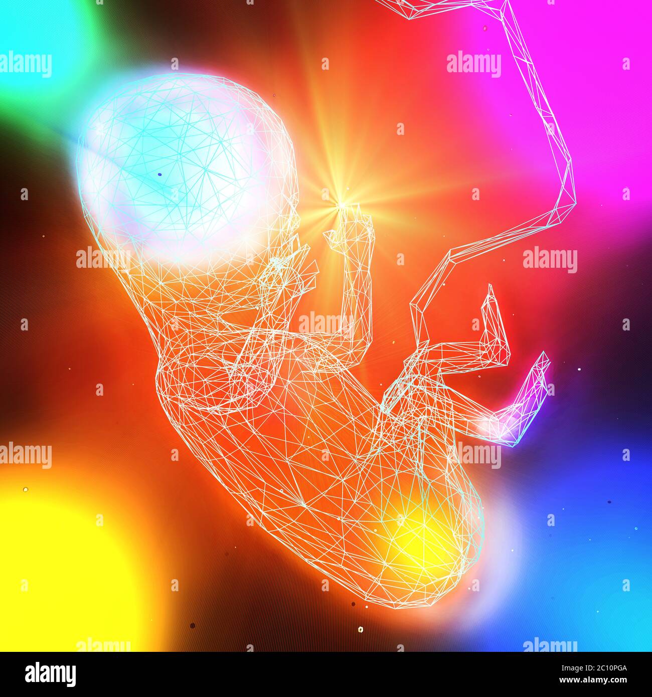 Embryonic and fetal development hi-res stock photography and images - Alamy