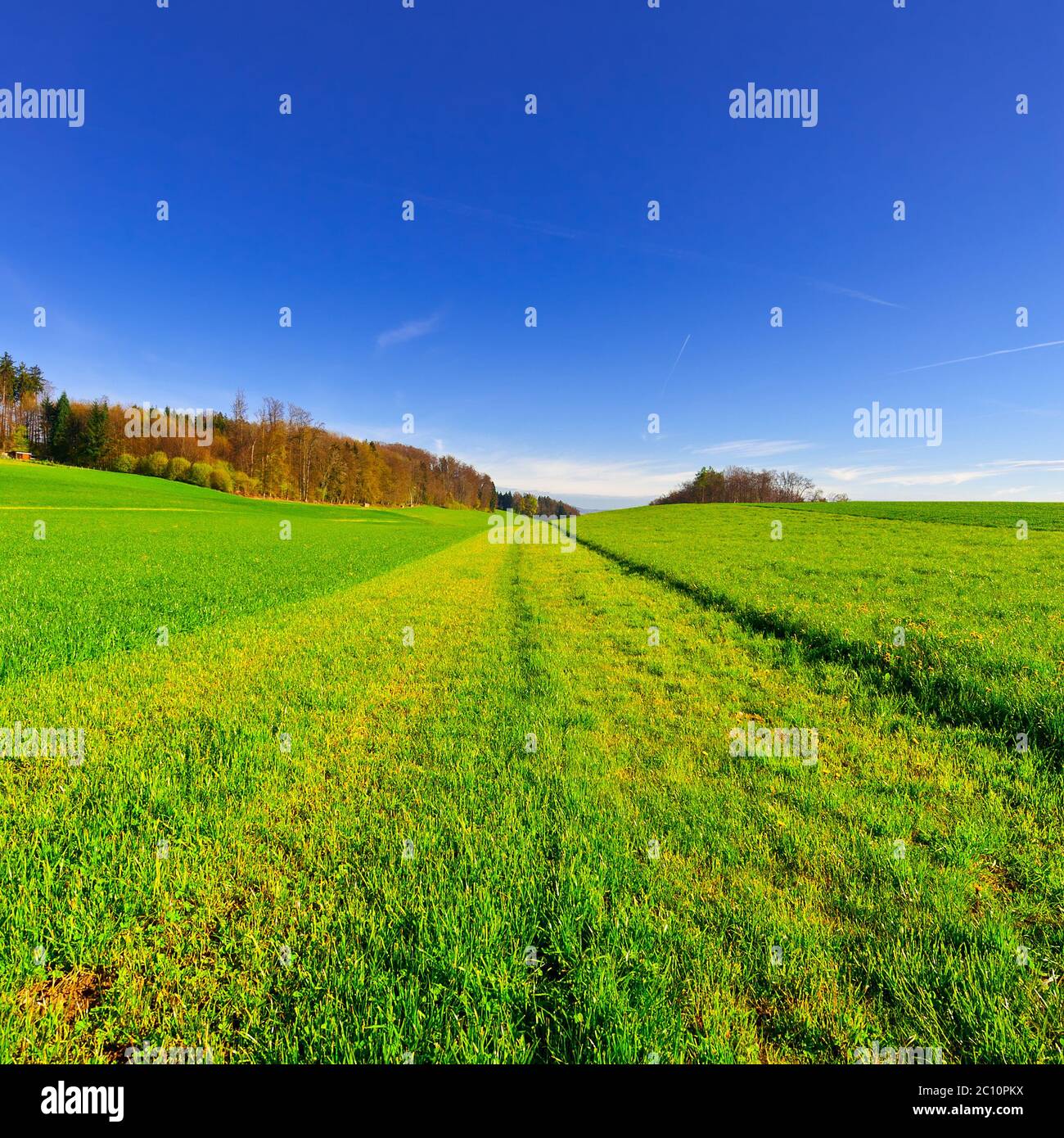 Grass cut hi-res stock photography and images - Alamy