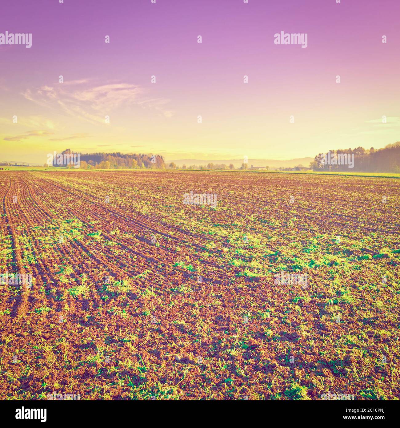 Sunrise fields hi-res stock photography and images - Alamy