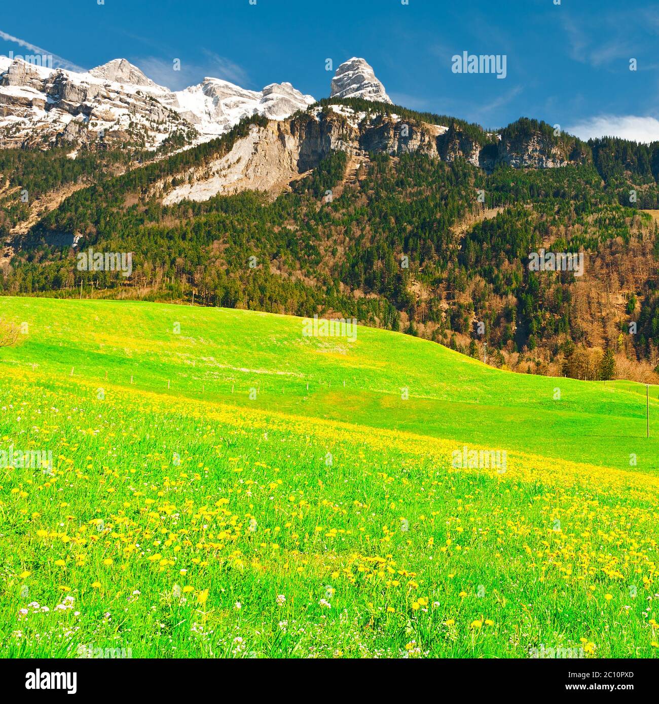 Cultivated alpine pasture hi-res stock photography and images - Alamy