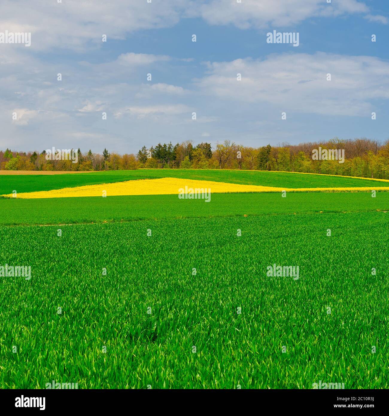 Cultivated alpine pasture hi-res stock photography and images - Alamy