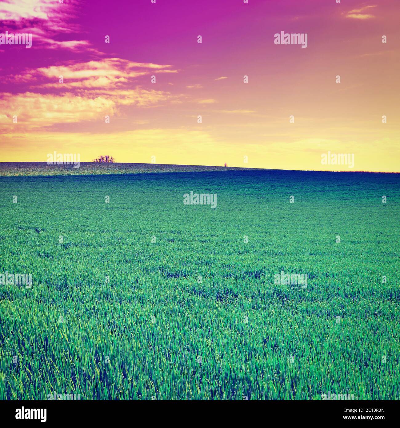 Plantation ag hi-res stock photography and images - Alamy