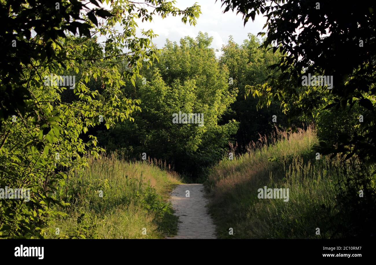 Bright displays hi-res stock photography and images - Alamy