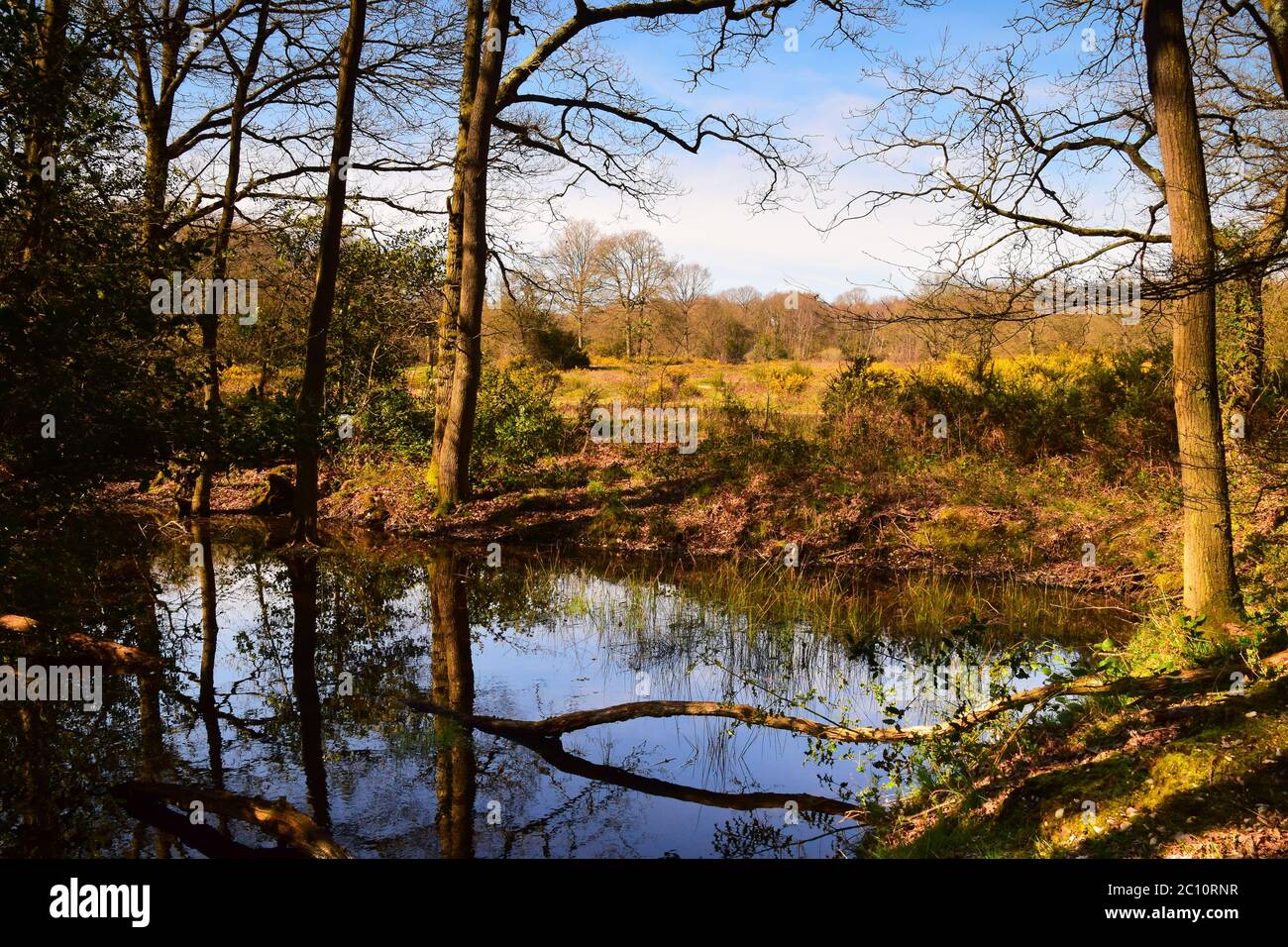 Danbury hi-res stock photography and images - Alamy