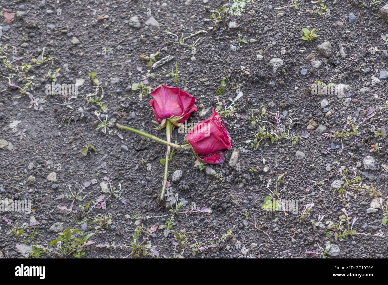 Ground angle view hi-res stock photography and images - Alamy