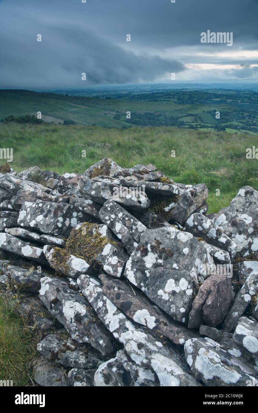 A collapsed dry stone wall near the top of Brown Clee Hill in ...
