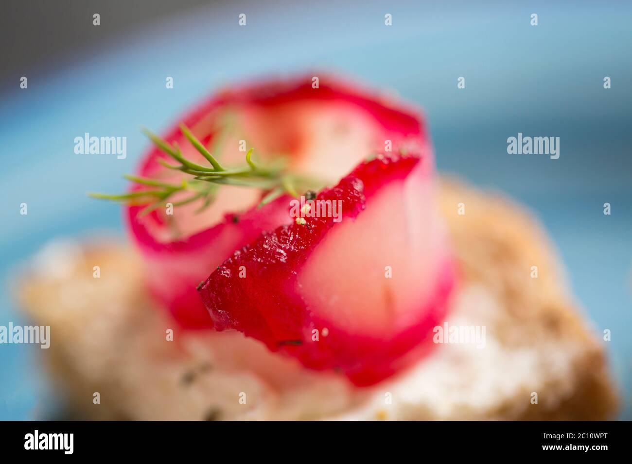 A slice from a bass, Dicentrarchus labrax, that was caught beach ...