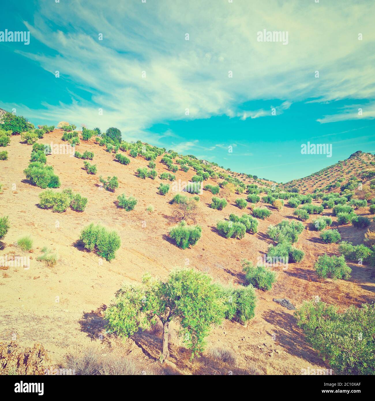Peak grove hi-res stock photography and images - Alamy