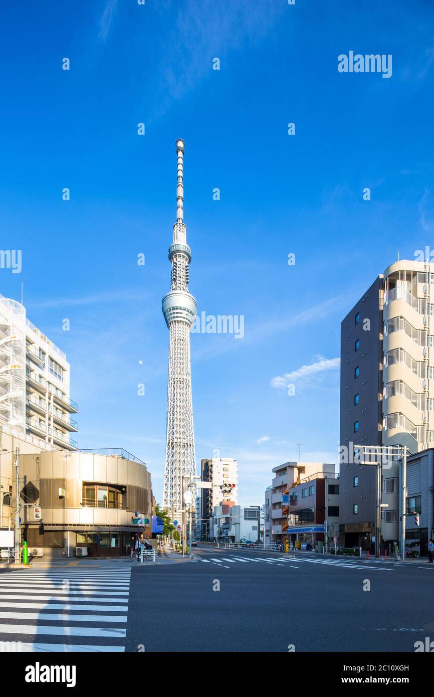 tokyo tower and modern buildings in tokyo Stock Photo - Alamy