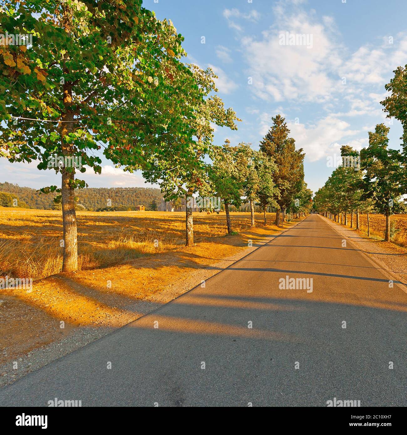 Stright Road High Resolution Stock Photography and Images - Alamy