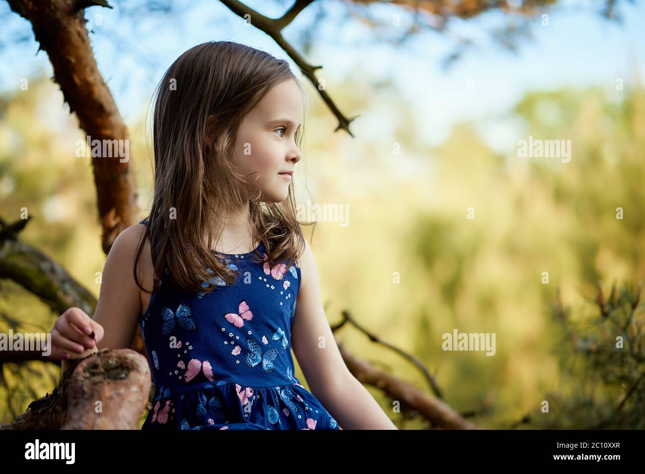 two girls in summer dresses are climbing a tree in the forest Stock ...