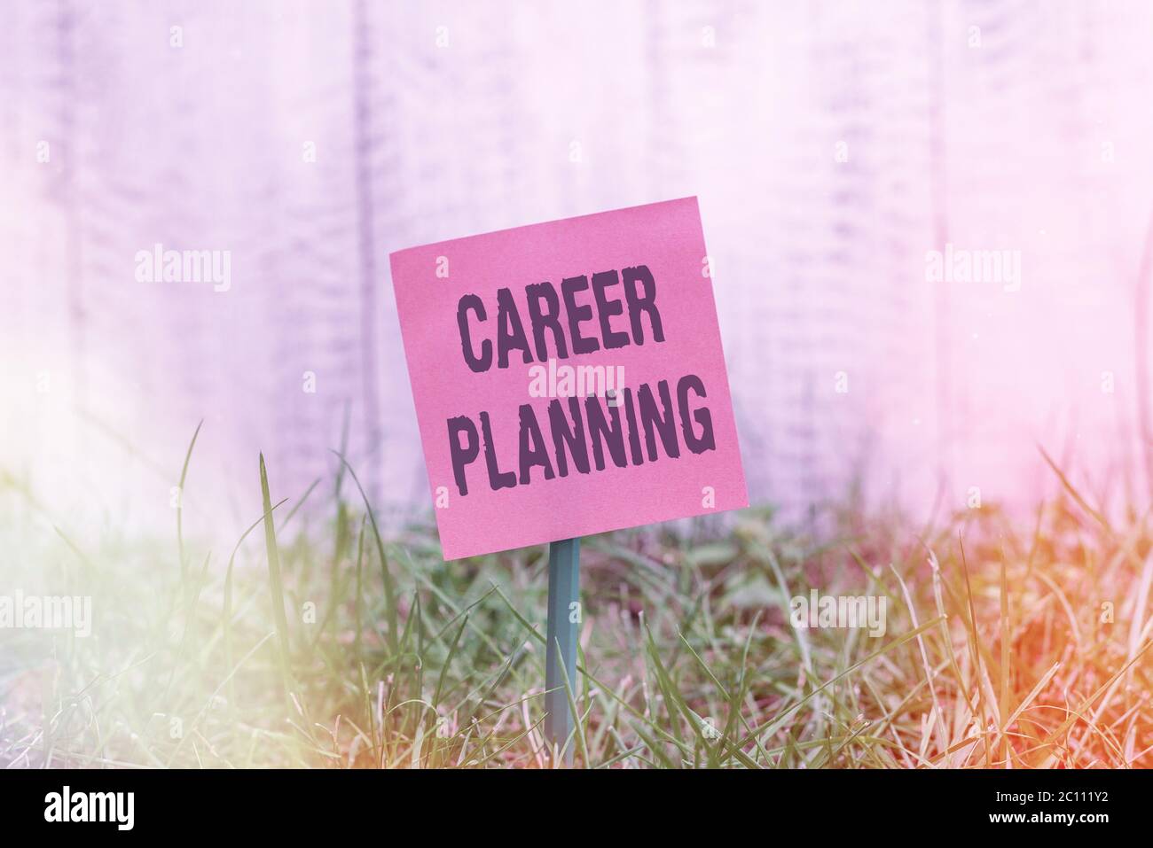 Writing note showing Career Planning. Business concept for stepwise ...