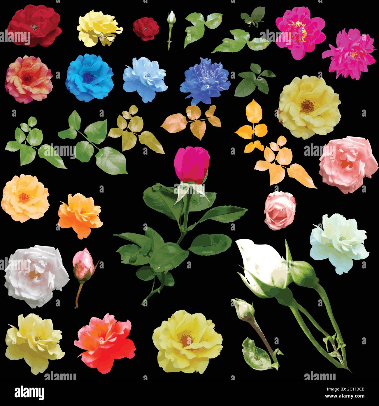 Rose flowers set elements collection design, watercolor Stock Vector ...