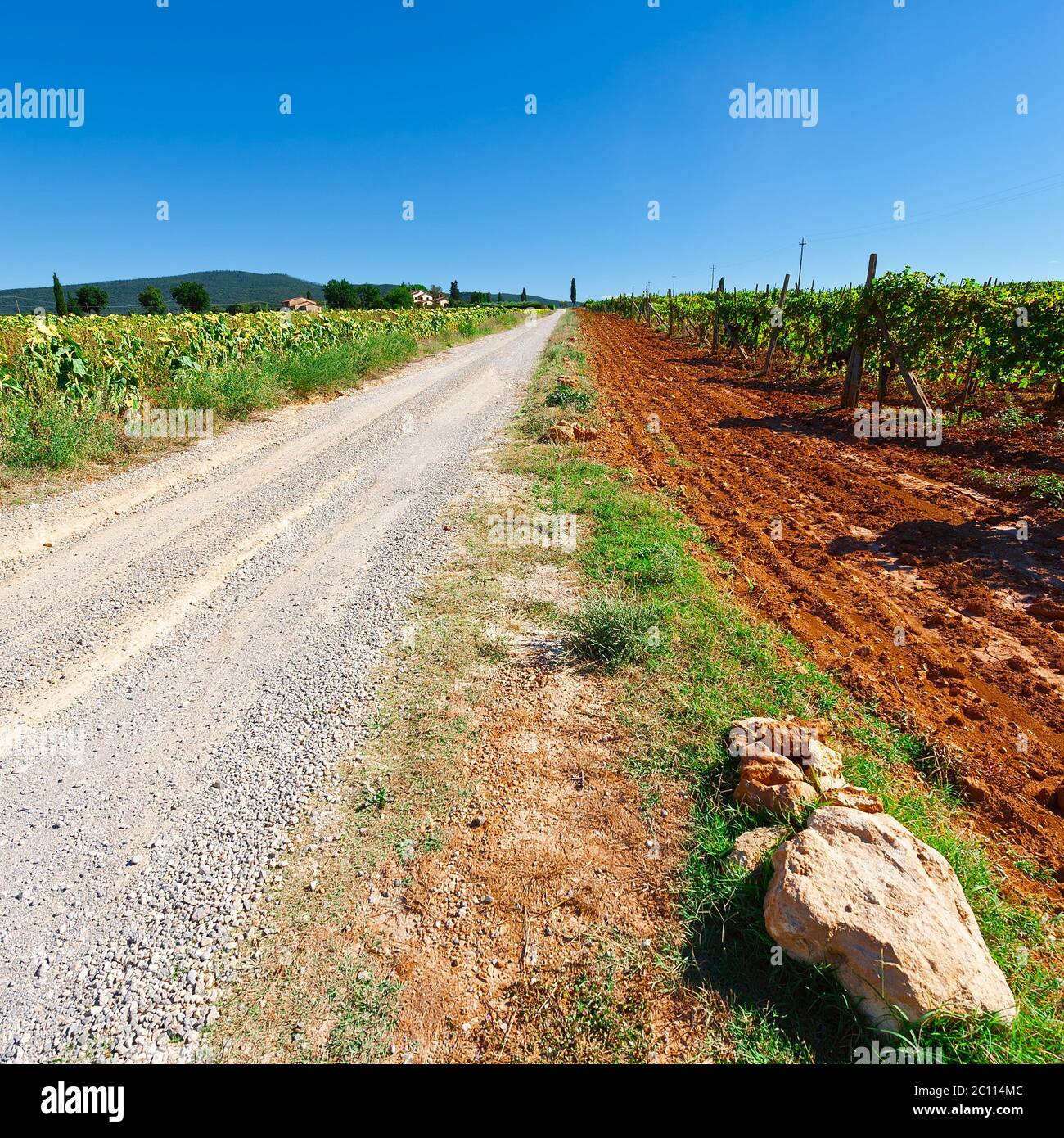 Dirt road pattern hi-res stock photography and images - Alamy