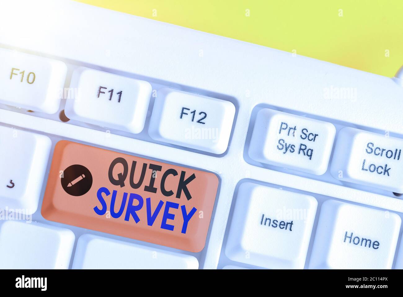 Conceptual hand writing showing Quick Survey. Concept meaning the ...