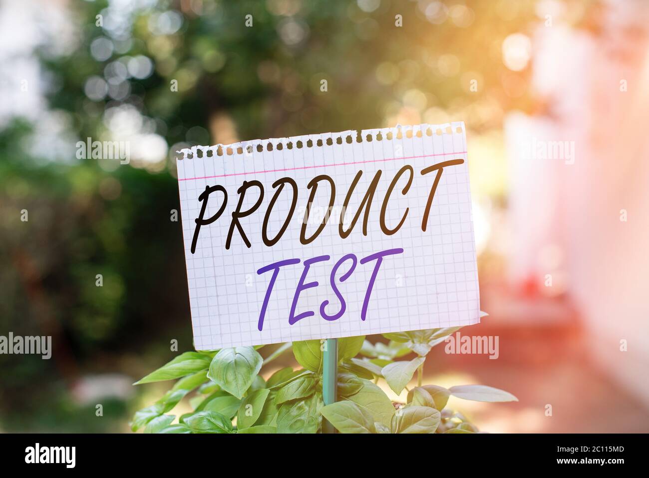 Text sign showing Product Test. Business photo showcasing process of ...