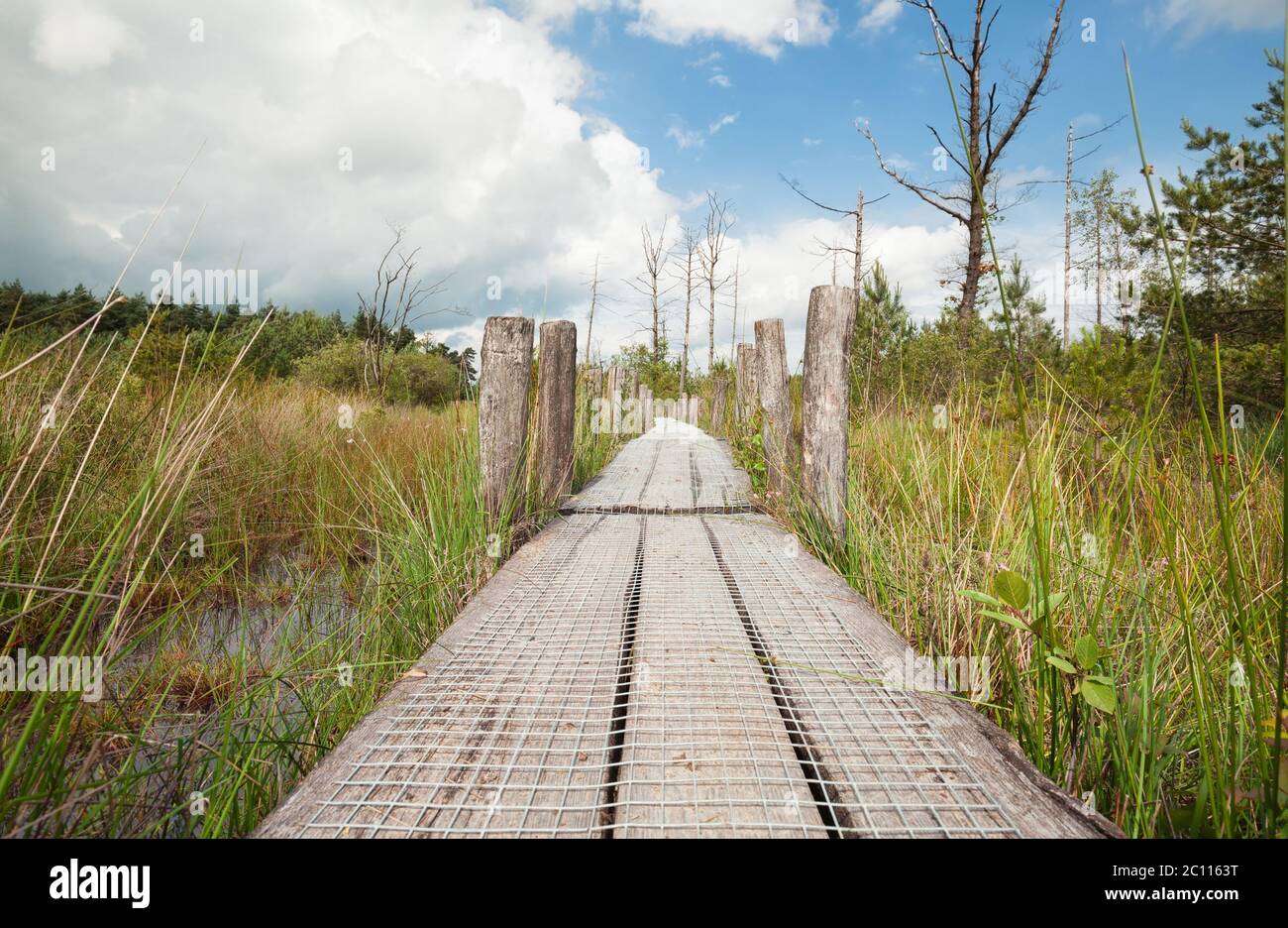 White swamp road hi-res stock photography and images - Alamy