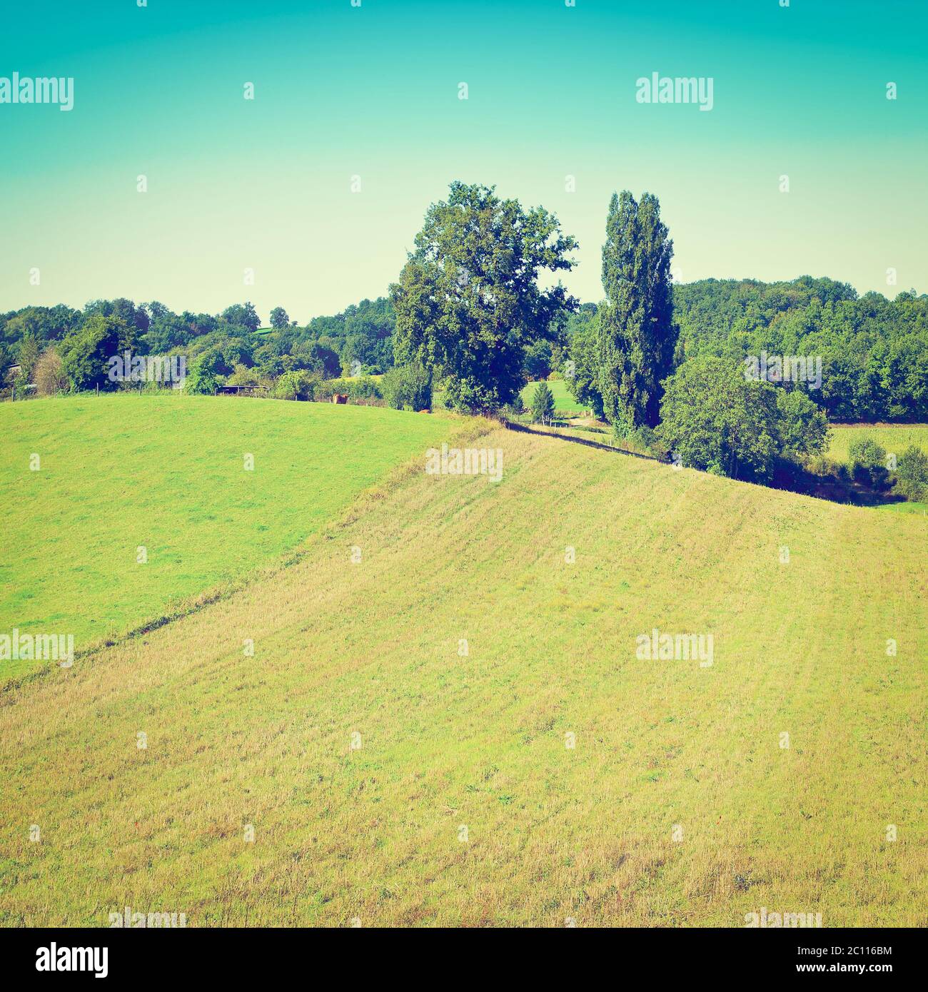 F meadows hi-res stock photography and images - Alamy