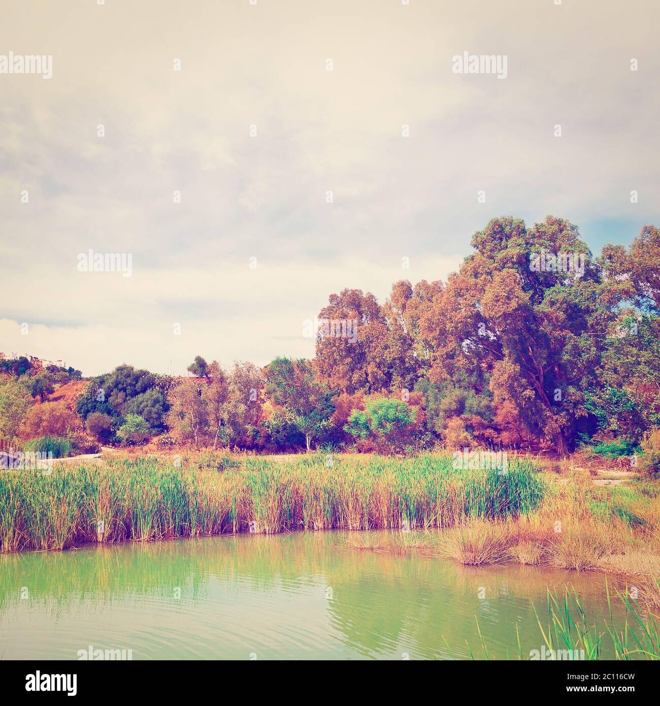 Pond restoration hi-res stock photography and images - Alamy