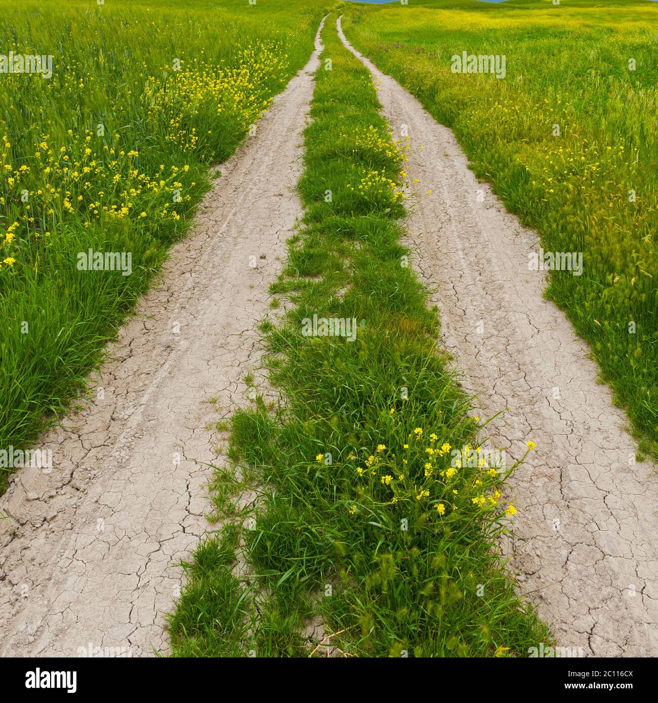 Dirt road power line hi-res stock photography and images - Alamy