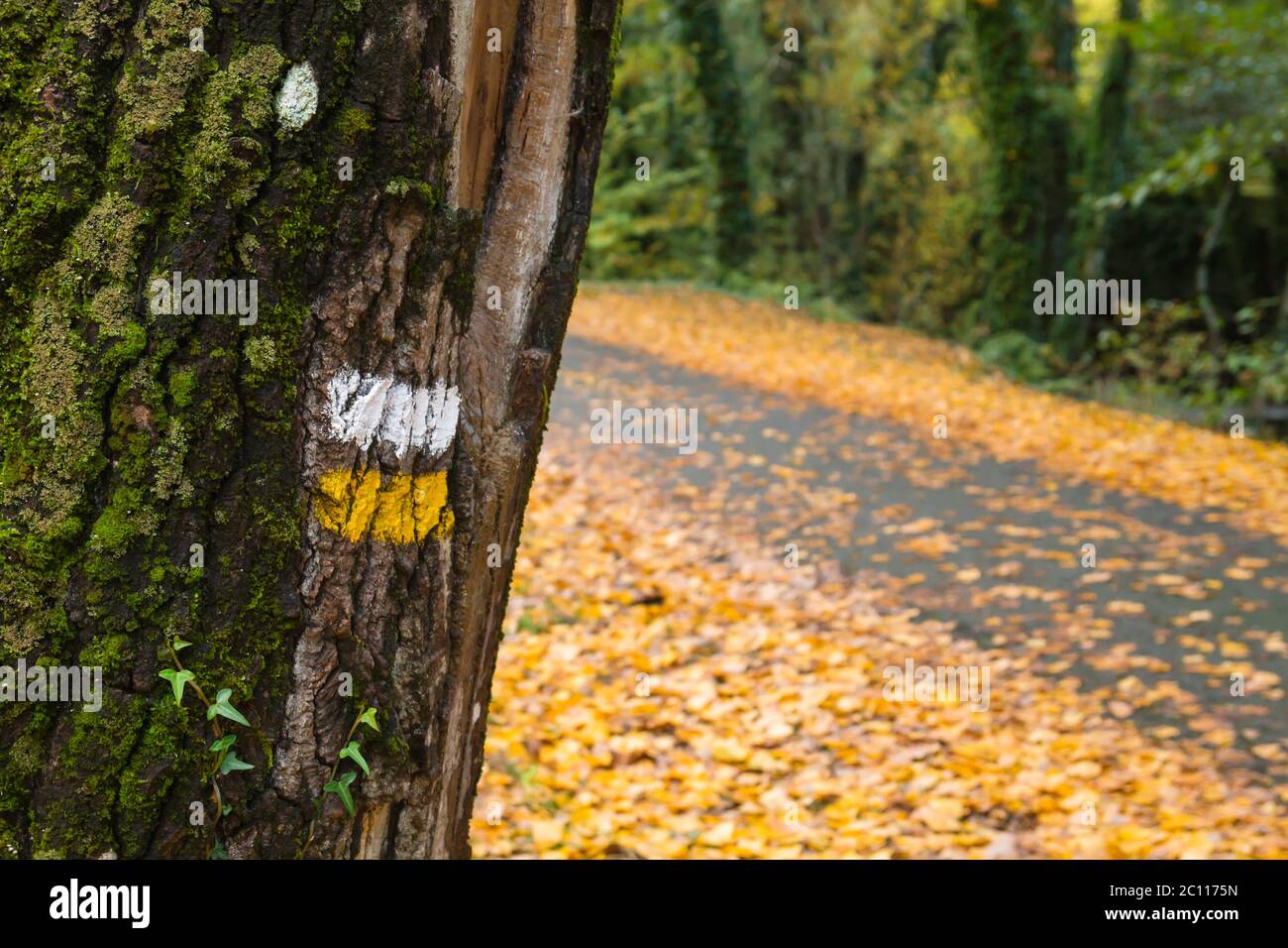 Parkland trail marker hi-res stock photography and images - Alamy