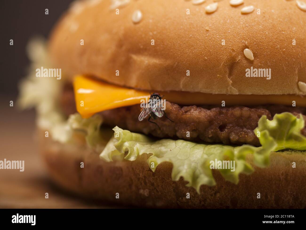 Fat fly hi-res stock photography and images - Alamy