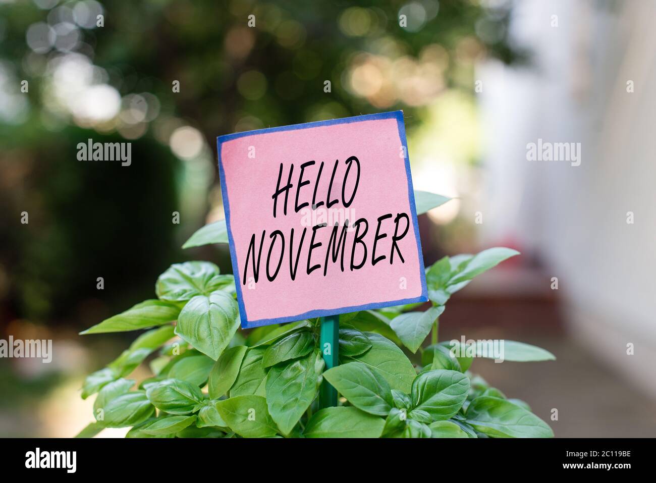 Writing note showing Hello November. Business concept for greeting used ...