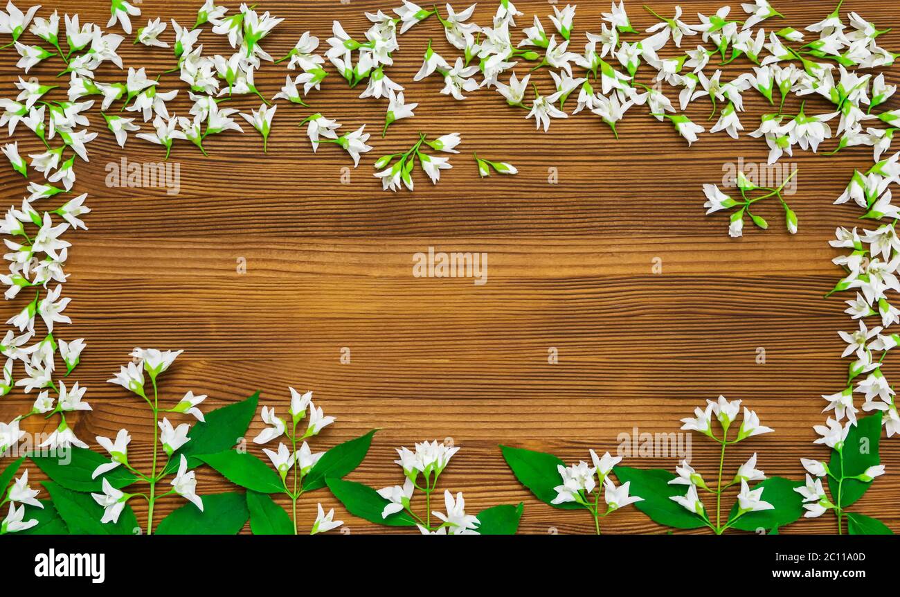 Jasmine flowers border hi-res stock photography and images - Alamy