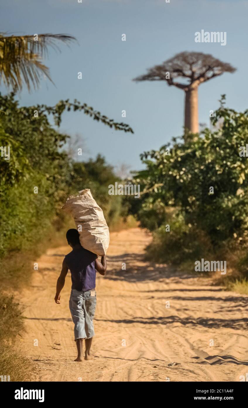 Man carrying large sack hi-res stock photography and images - Alamy