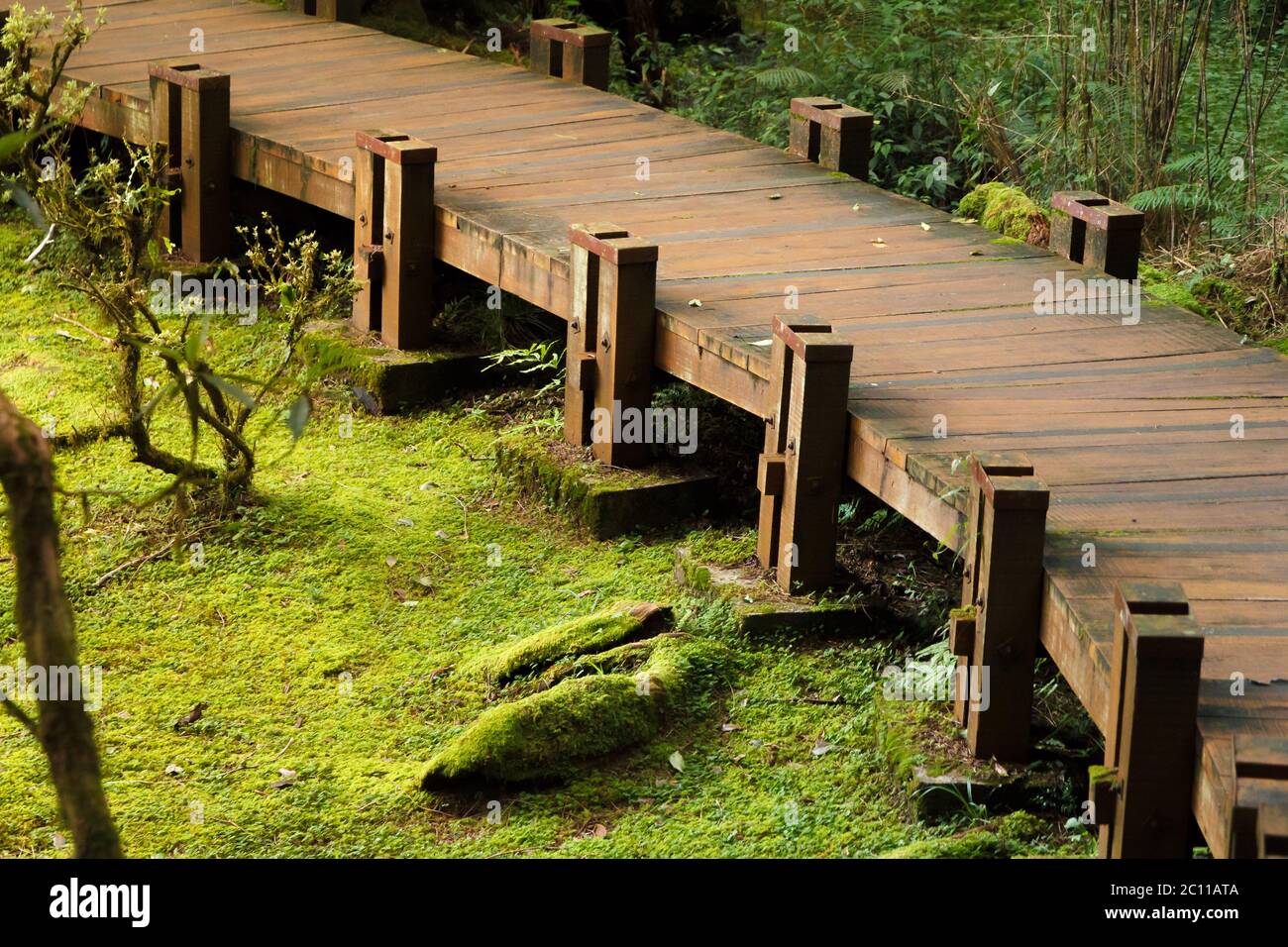 The old Wood bridge in Alishan forest Stock Photo - Alamy