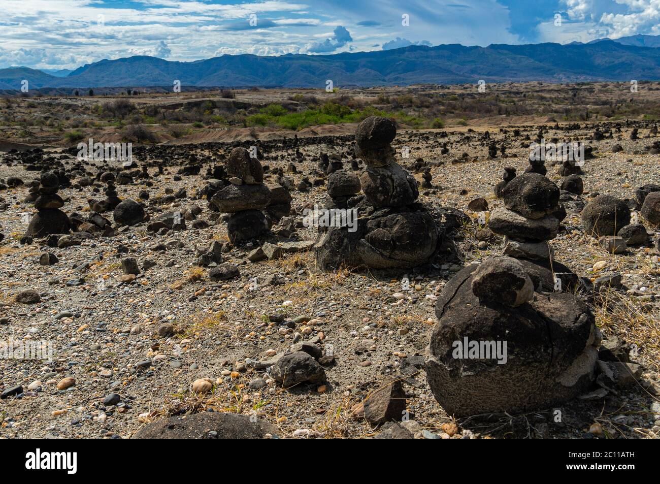 Tatacoa desert cactus hi-res stock photography and images - Alamy