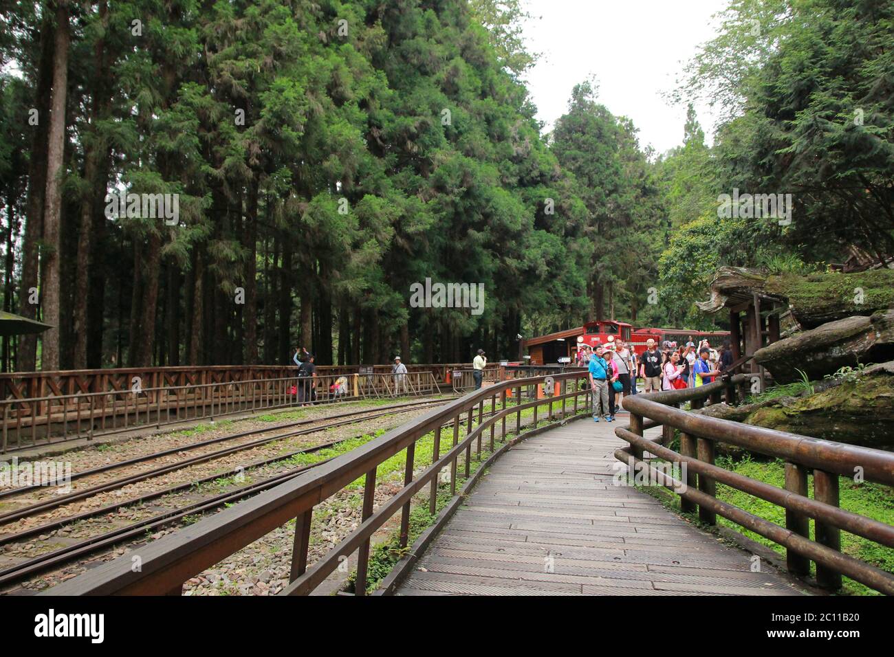 Alishan national park chiayi taiwan hi-res stock photography and images ...