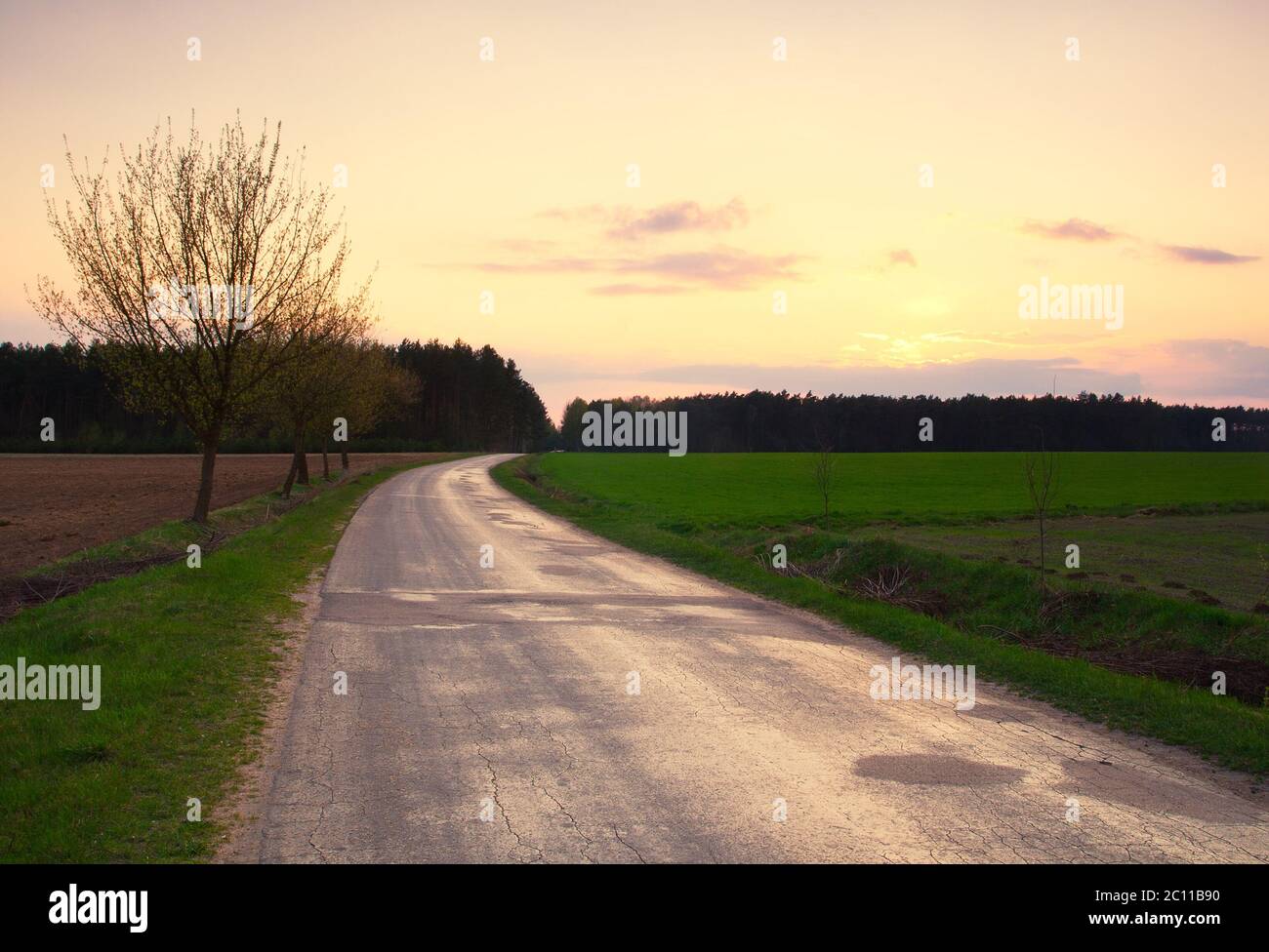 asphalt rural road near village photographed in good golden hour light ...