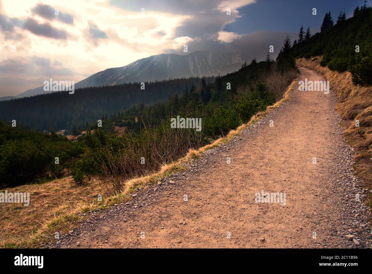 Tatra Mountains in spring time Stock Photo - Alamy